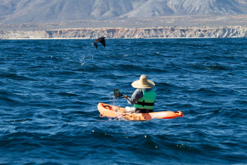Recursos - Futuro Cabo del Este